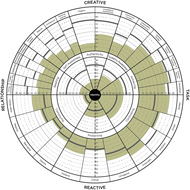 Leadership Circle Profile (LCP 360): Everything You Need To Know To ...
