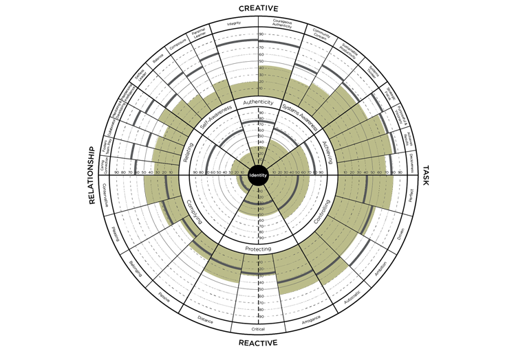 Leadership Circle Profile (LCP 360): Everything You Need To Know To ...