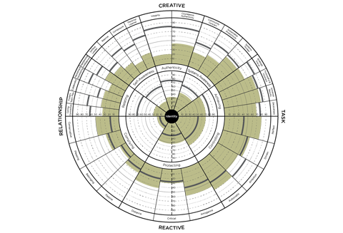 Leadership Circle Profile (LCP 360): Everything You Need To Know To ...